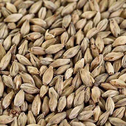 Münchner Malz | Selber Bier brauen