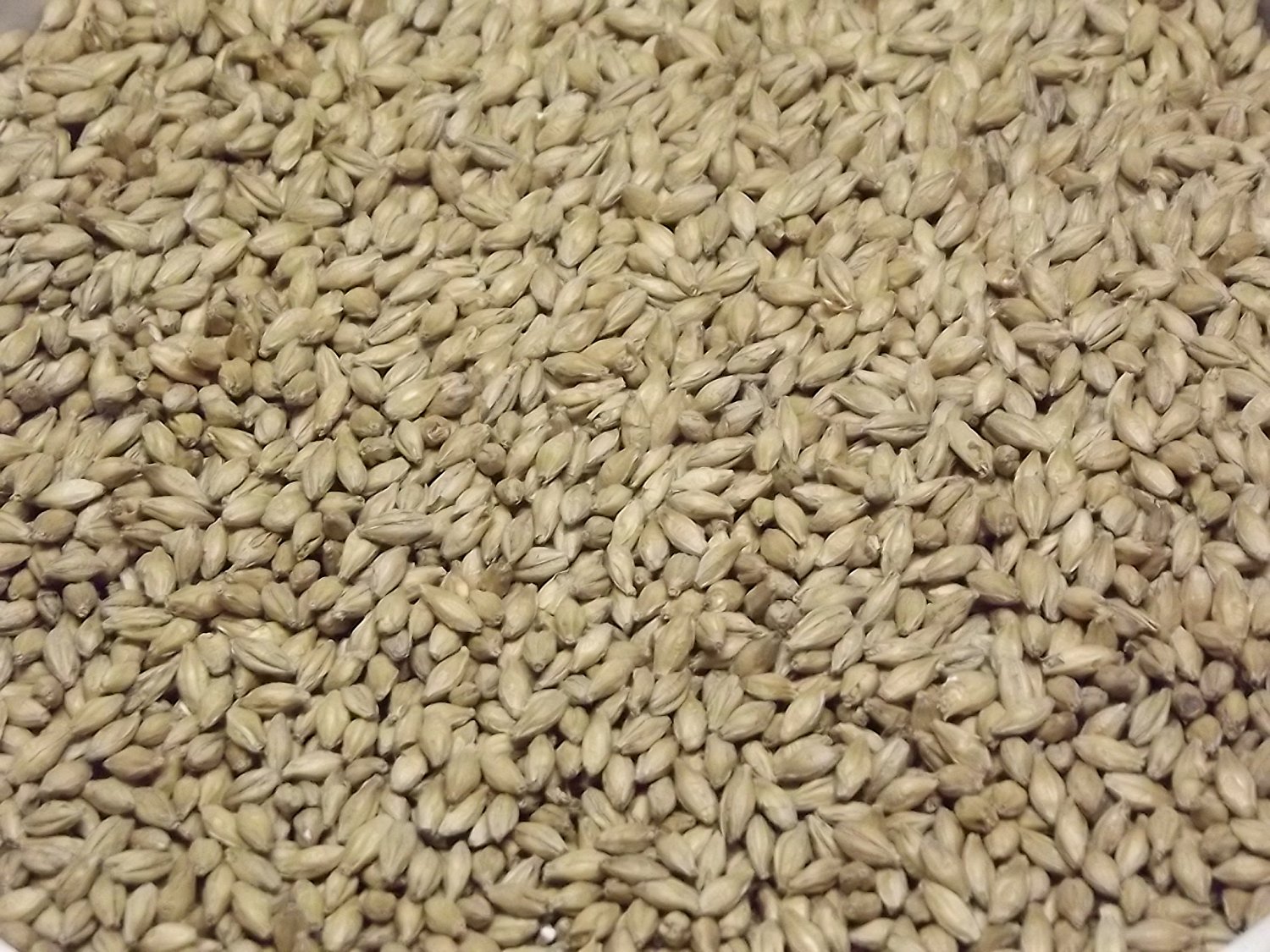 Wiener Malz | Selber Bier brauen